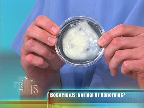 seminal fluid definitino | Largerloads.com